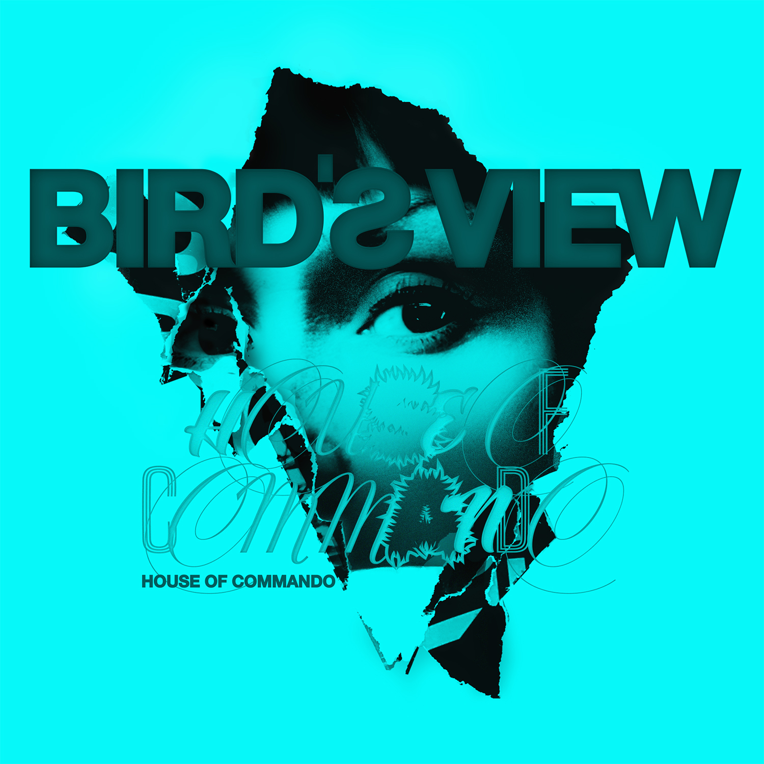 Bird's View Soar On Scorching Sophomore Opus House Of Commando - rock ...